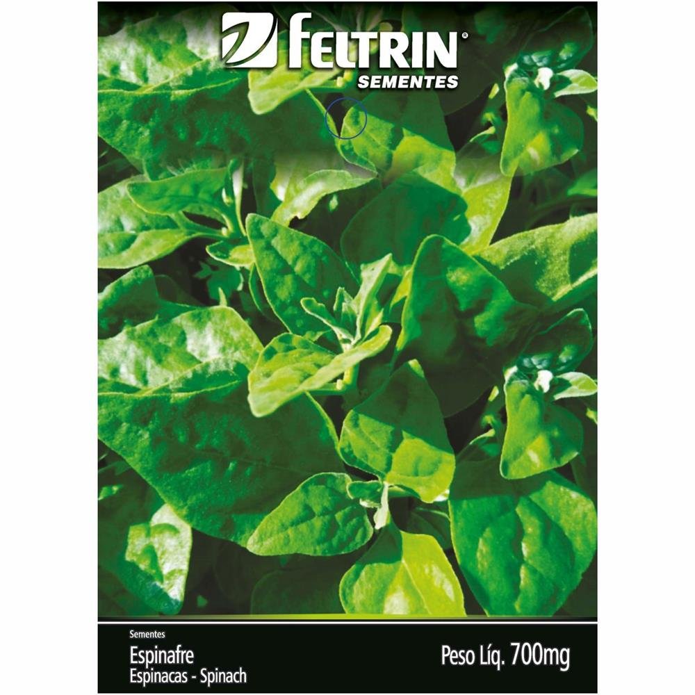 Sementes de Hortaliças Feltrin Espinafre Nova Zelandia - Envelope com ...