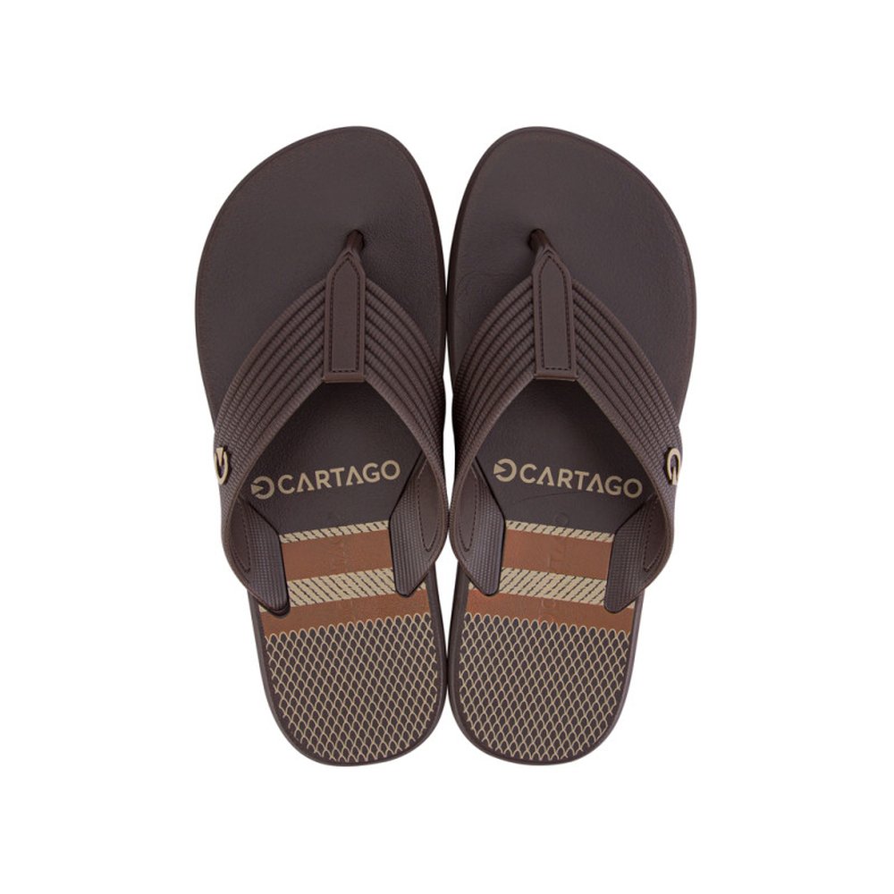 Chinelo Adulto Cartago Montreal Marrom Bege - Grade 12 Pares ...