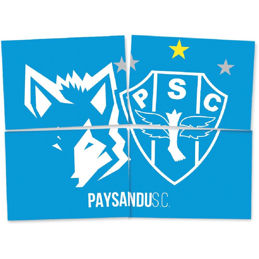 Painel 4 Partes Paysandu Oficial | Martins Atacado